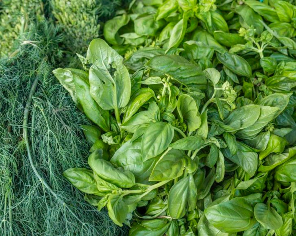 Cooking with unique ingredients - TFG Media