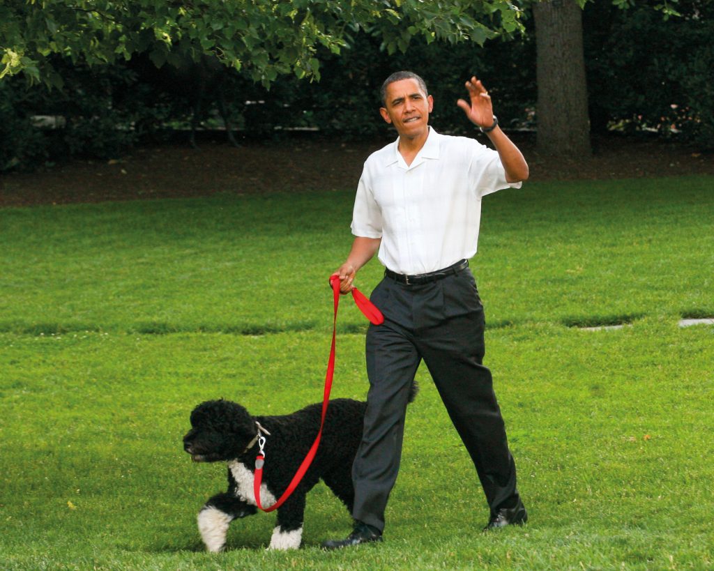 The Love For Our Pets: Celebrity Edition - TFG Media