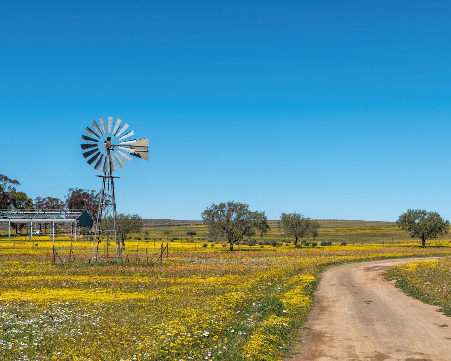 National Hantam Botanical Garden - TFG Media