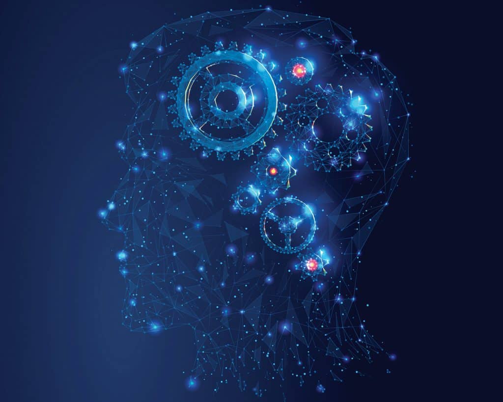 How Your Intelligence Compares To Animals - TFG Media