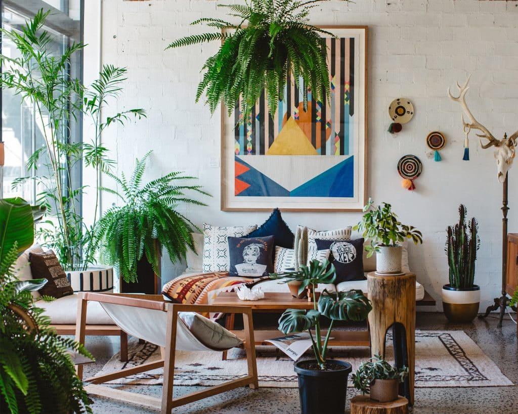 4 ways to bring greenery indoors - TFG Media