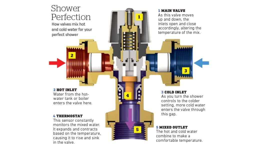 The Lavatory Laboratory: How Your Bathroom Works - TFG Media