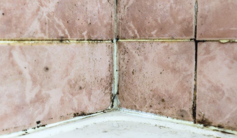 The Lavatory Laboratory: How Your Bathroom Works - TFG Media