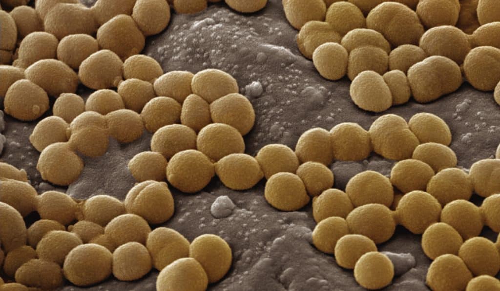 The Lavatory Laboratory: How Your Bathroom Works - TFG Media