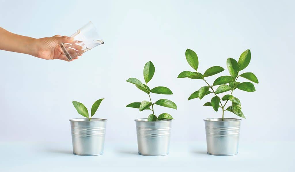 The Two-Pot Retirement system explained - TFG Media