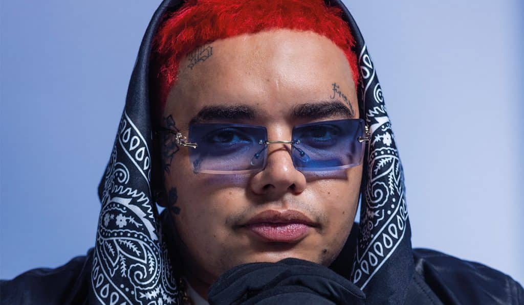 Chaise Williams: A star on the rise - TFG Media