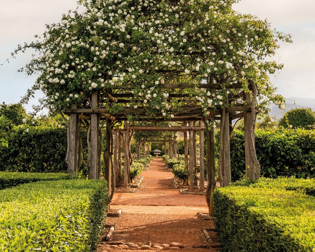 Babylonstoren: A grounded sanctuary for everyone - TFG Media
